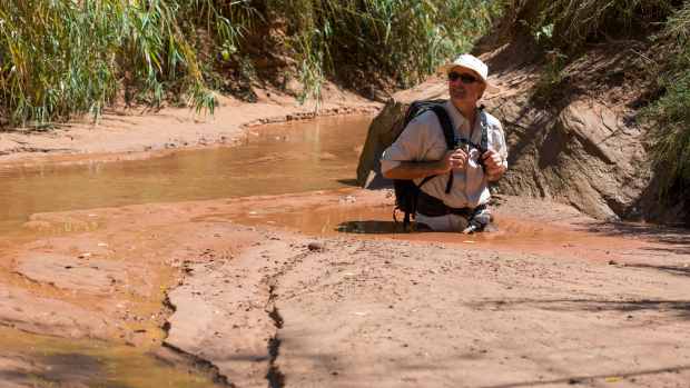 What Quicksand Looks Like in Real Life - HubPages