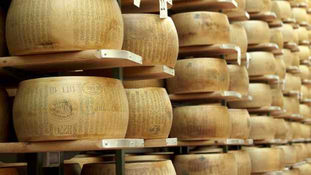 Man Explains Little-Known Differences Between Types of Parmesan Cheeses ...