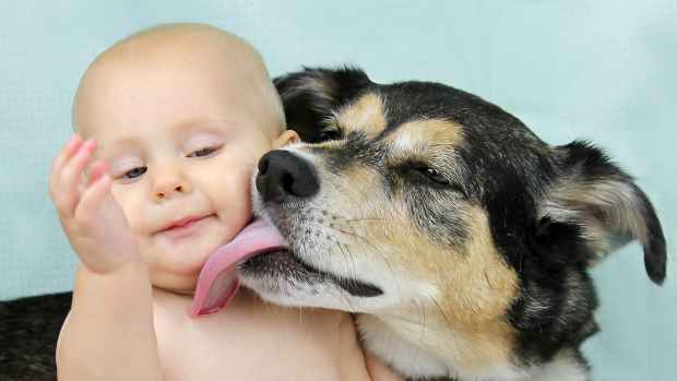 Ukrainian Girl Raised By Dogs Is a Heartbreaking Story of Childhood ...