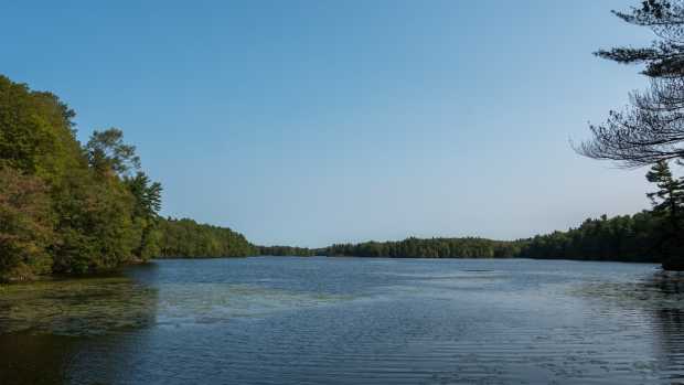 Cool Floating Boardwalk in Massachusetts Allows People to Legit 'Walk ...