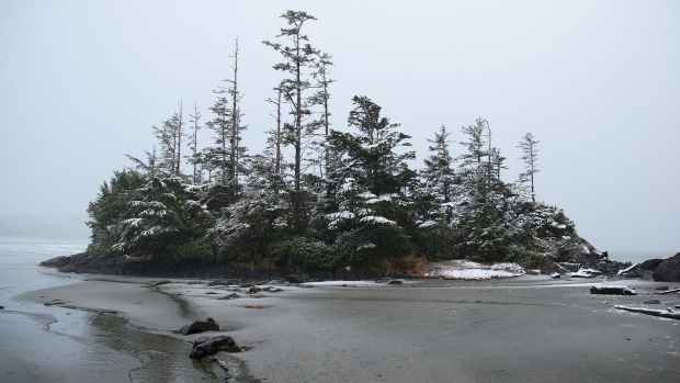 Snow Is Currently Covering the Beach in Oregon and It's Just ...
