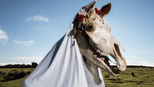 Christmas Horse Skull Sings Carols in Welsh Holiday Tradition of Mari ...