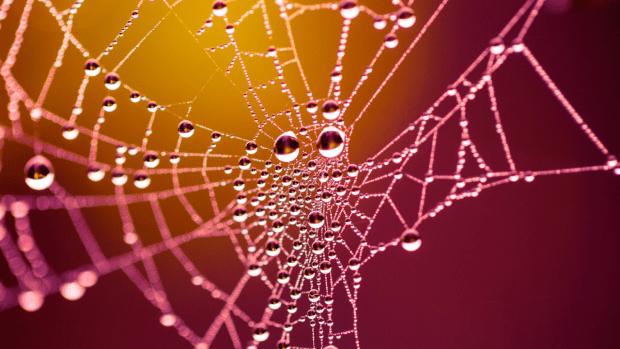 Hiker Believes She Spotted an ‘Obvious’ Fae Trap in Ireland - HubPages