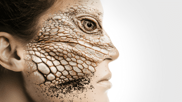 Thailand Tourists Capture Video of Reptilian Cryptid While Biking in ...