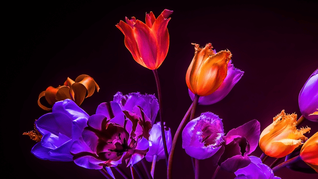 Flower Lamp Adds a Whimsical Touch to Any Space - FeltMagnet News