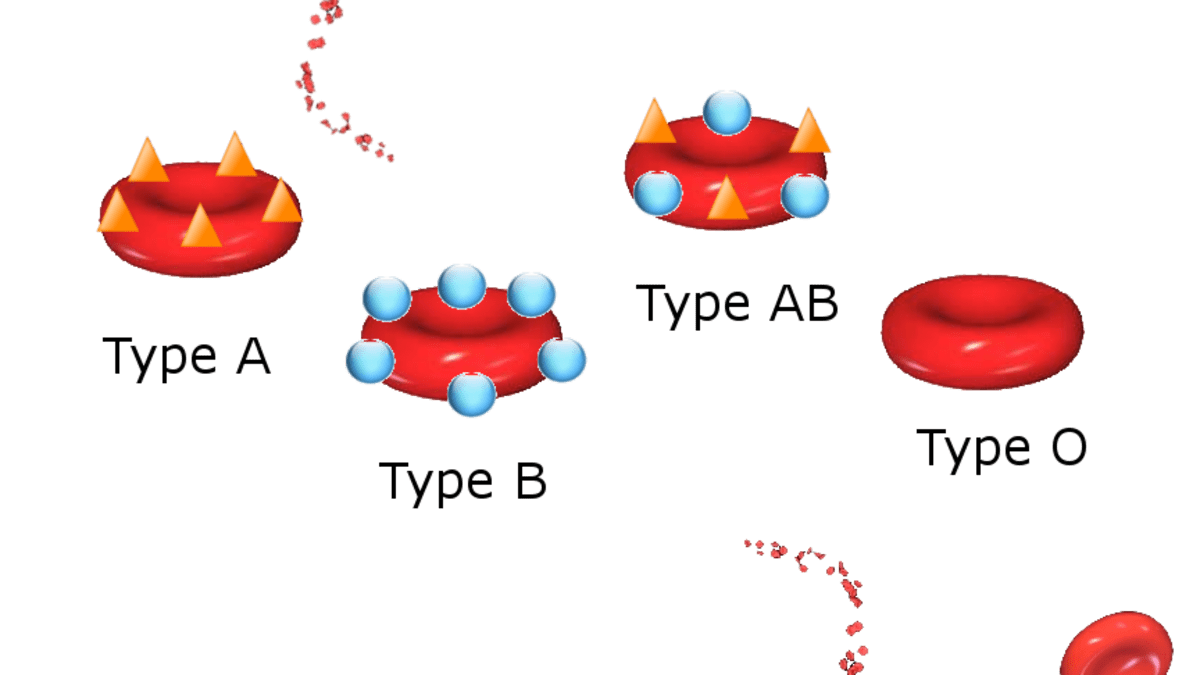 What Percentage Of People Have A Negative Blood Type Goolikos