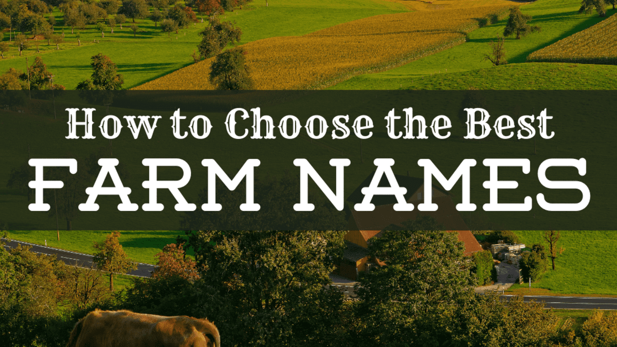 Good Female Farmer Names Farmer Foto Collections Good Female Farmer Names Farmer Foto Collections