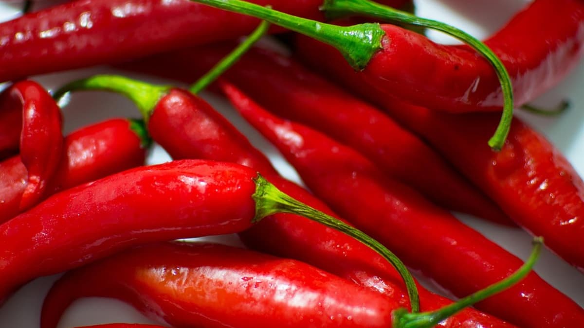 Flavors of the World Cayenne Pepper of the New World Delishably
