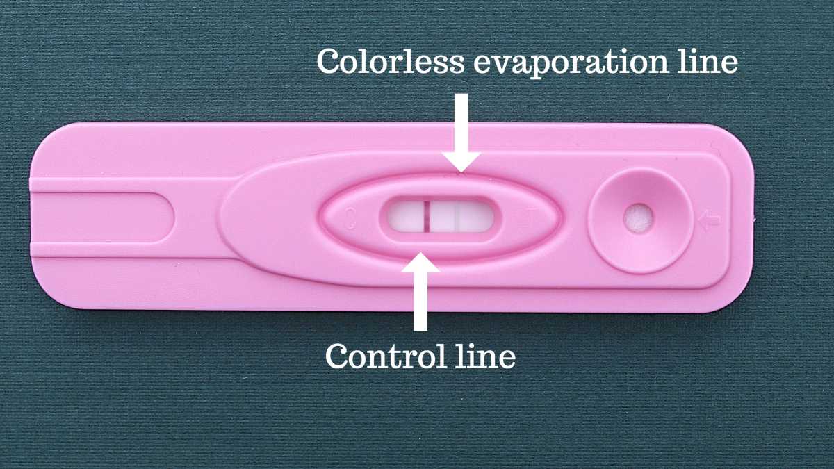 Peeing Too Much Effect Pregnancy Results Telegraph Peeing Too Much Effect Pregnancy Results Telegraph