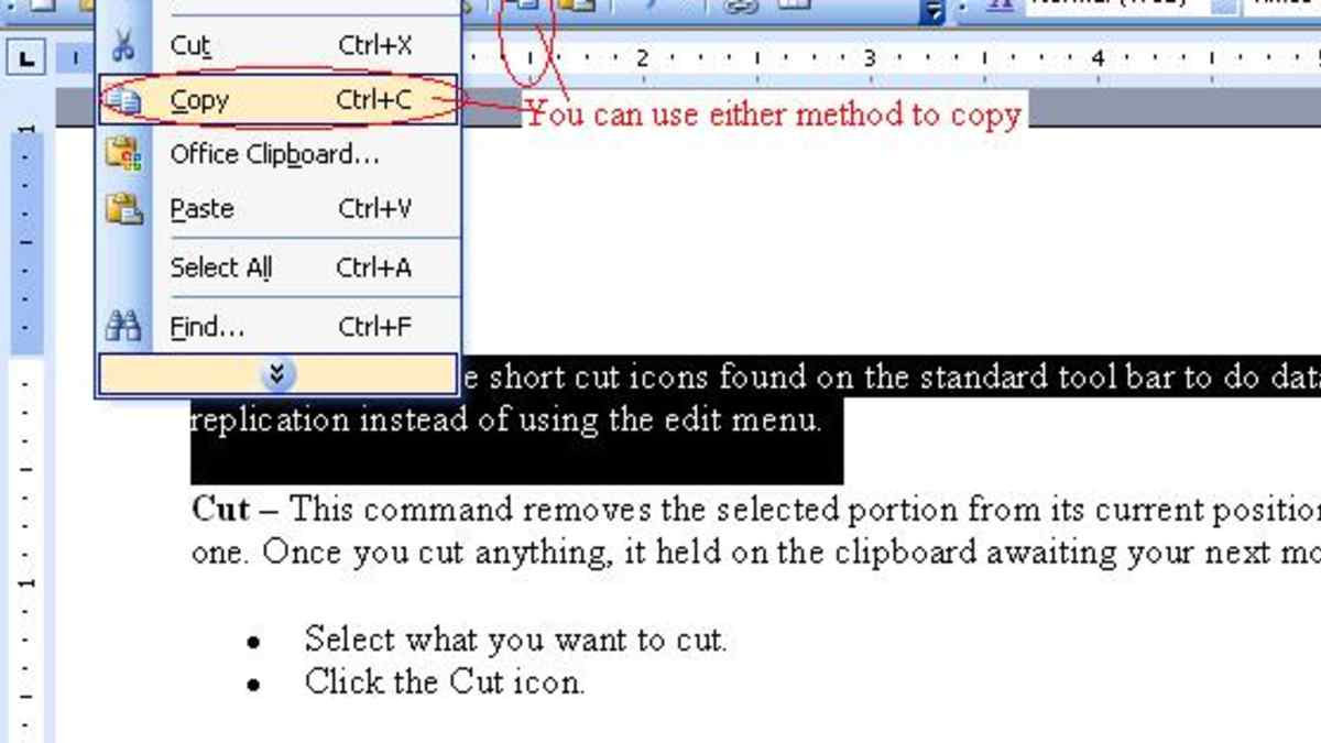 How To Copy And Paste Edited Image From Word Clearance | innoem.eng.psu ...