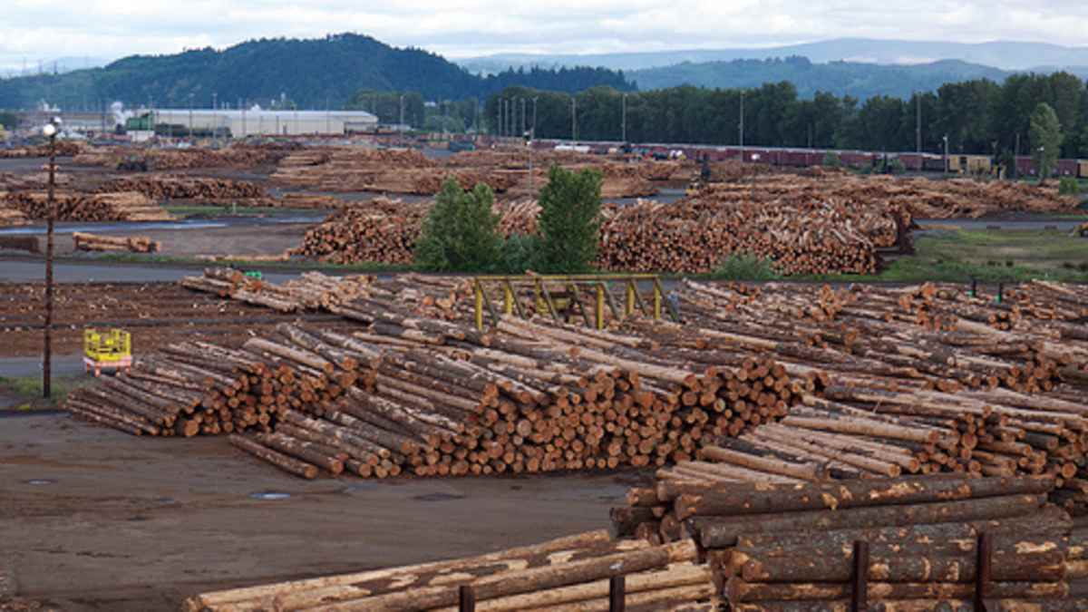 Ax Men Jm Browning How Did He Lose His Arm Clearance ...