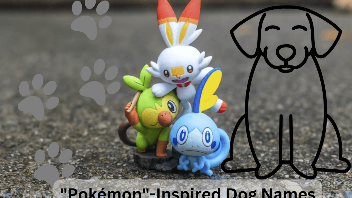 Pokemon dog names store