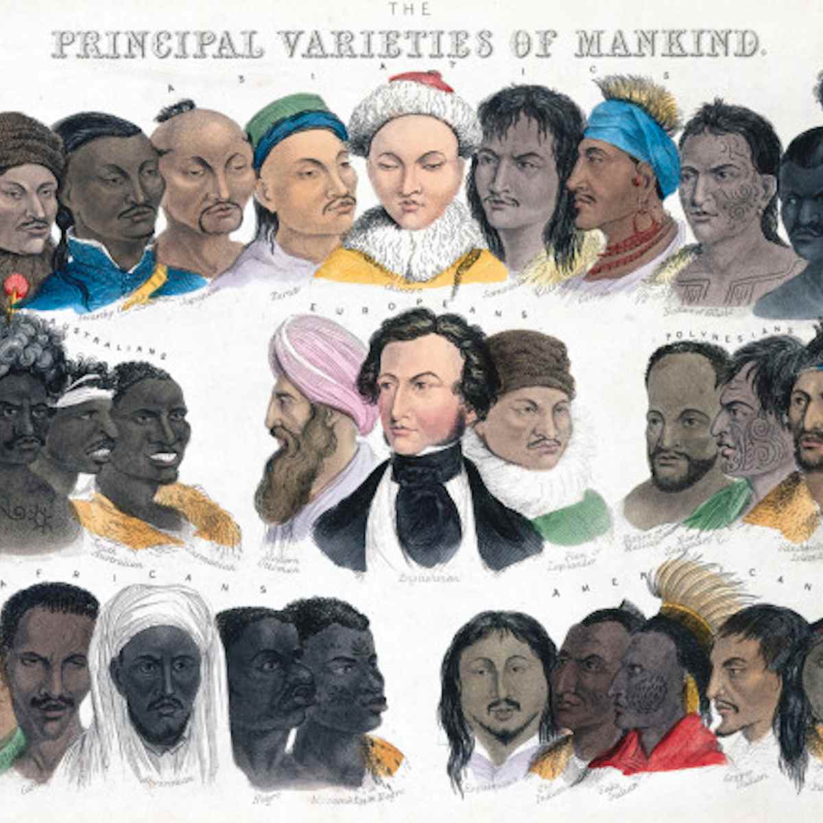 Human Races Of The World