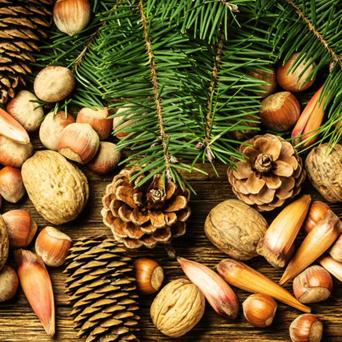 Nuts Magazine Christmas