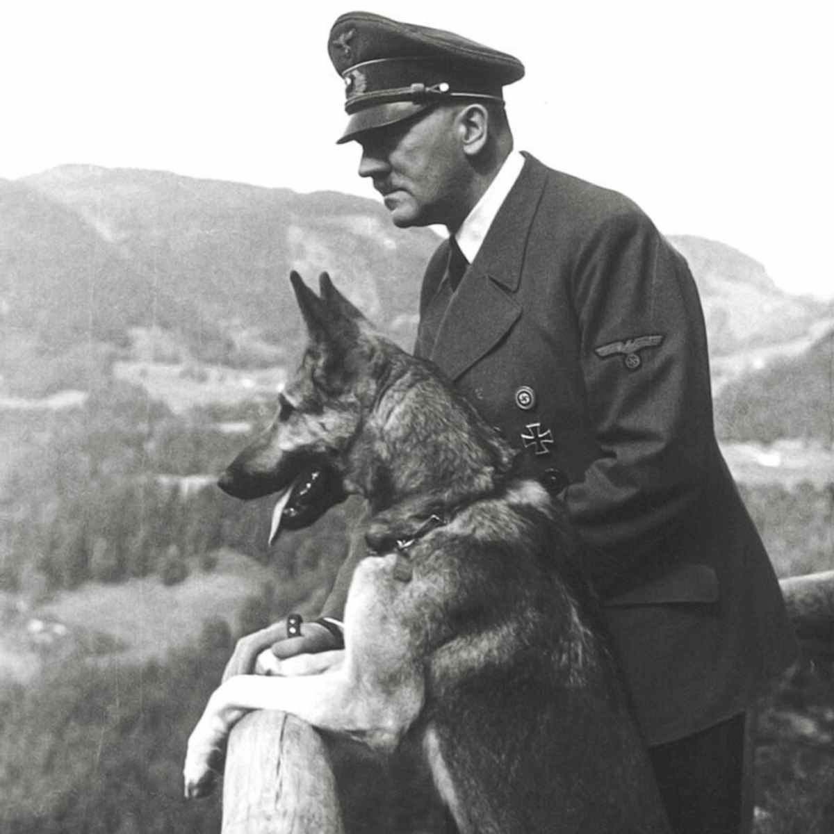 What Happened To Hitlers Dog