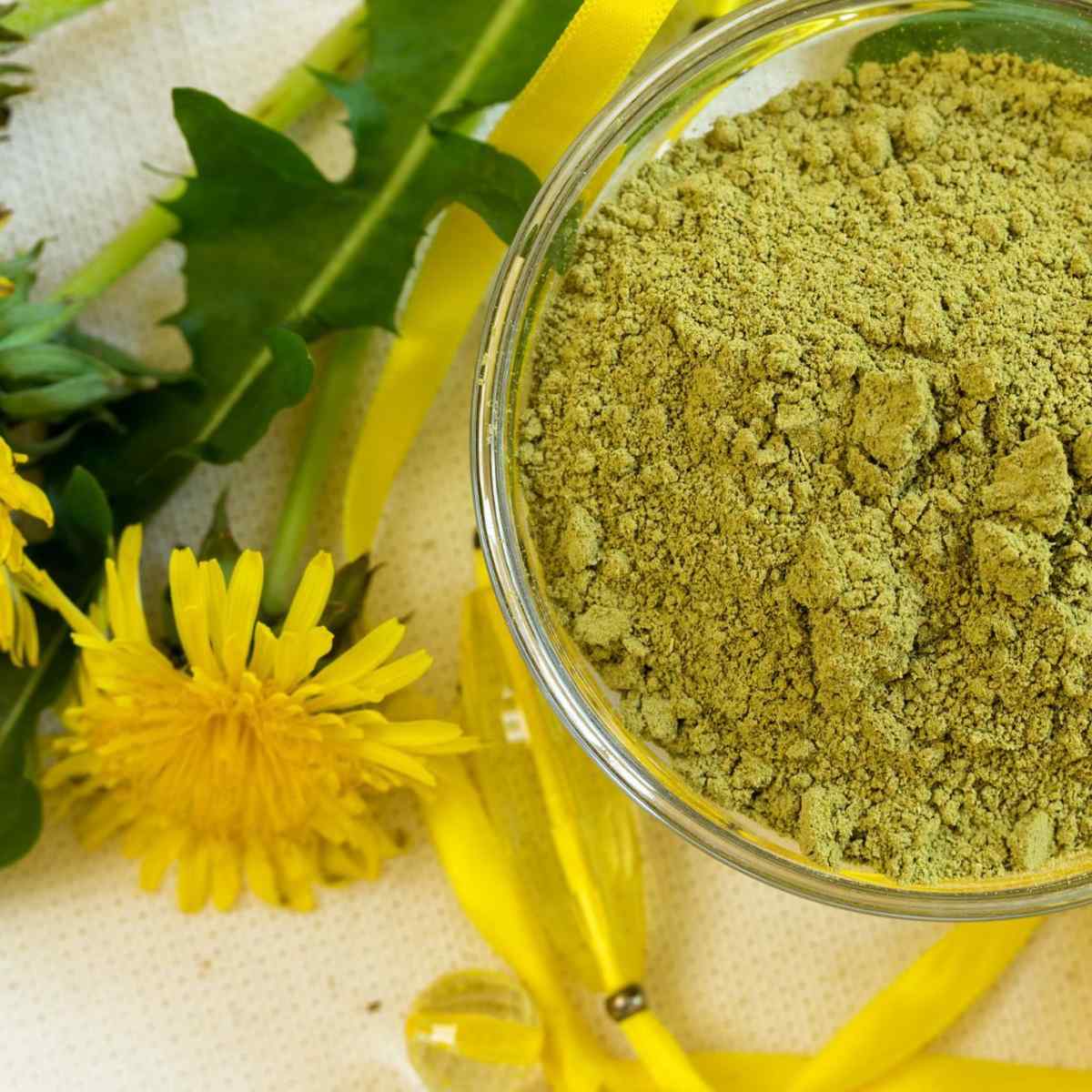 Uses Of Henna Flower | Best Flower Site