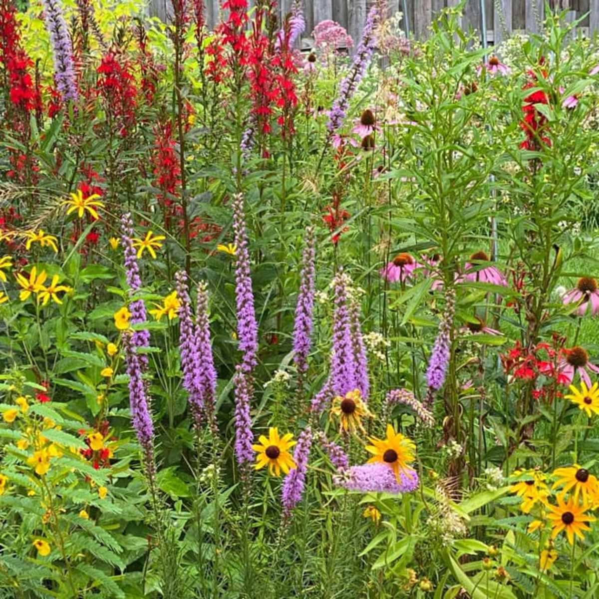 Ohio Plants For Best Landscape I'm In NE Ohio And Trying To Figure Out
