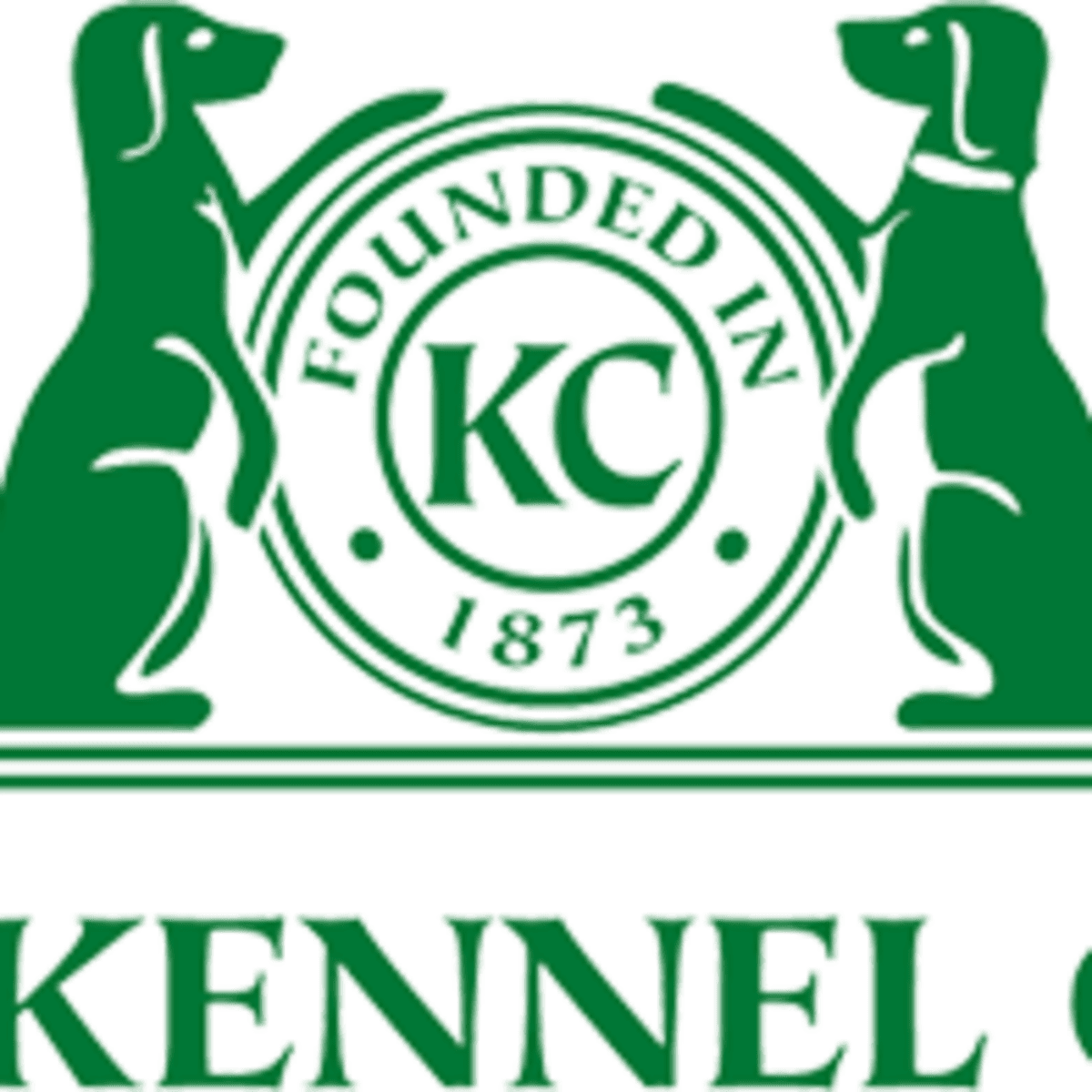Can I Kc Register My Puppy