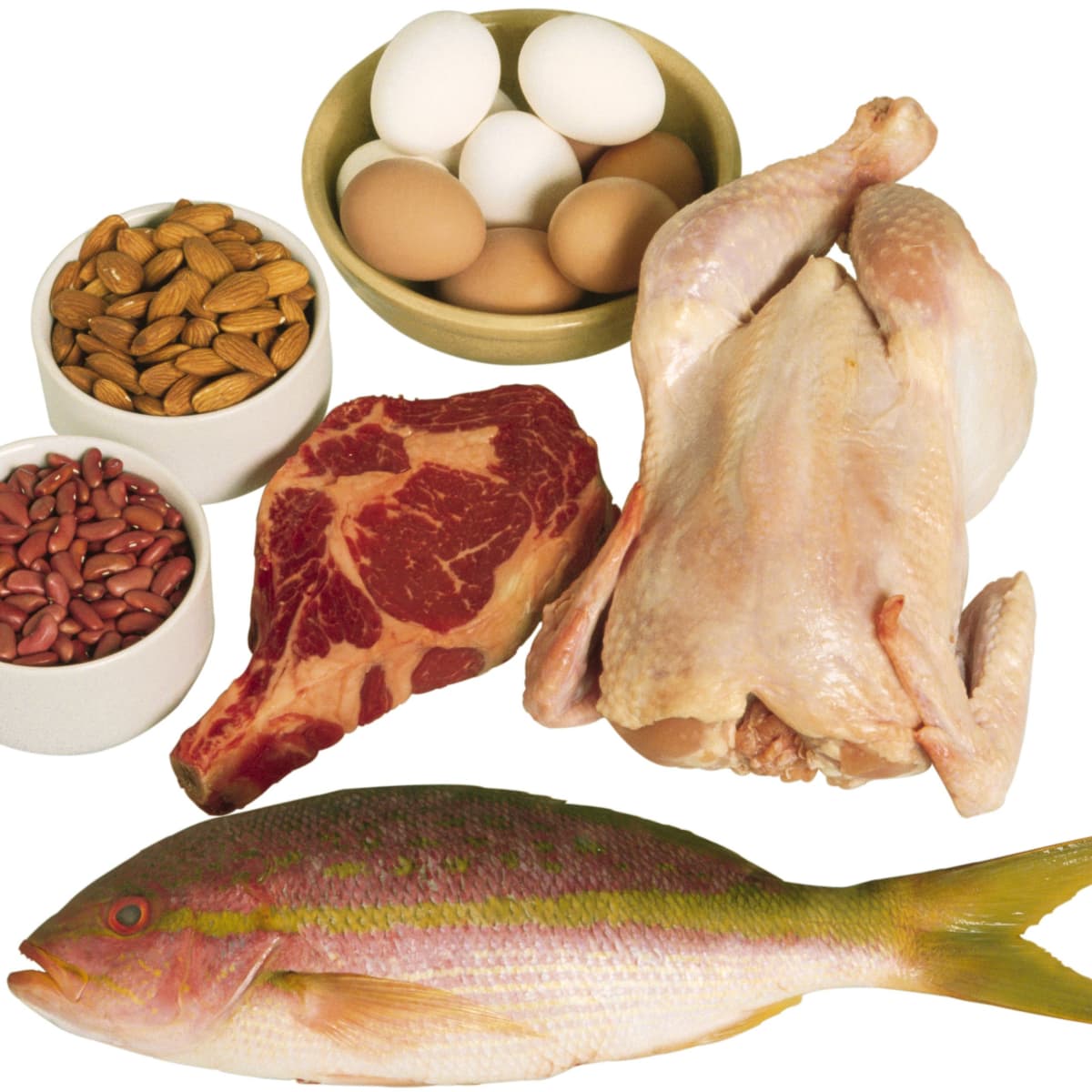 The Cheapest Protein Sources Food For Bodybuilding HubPages