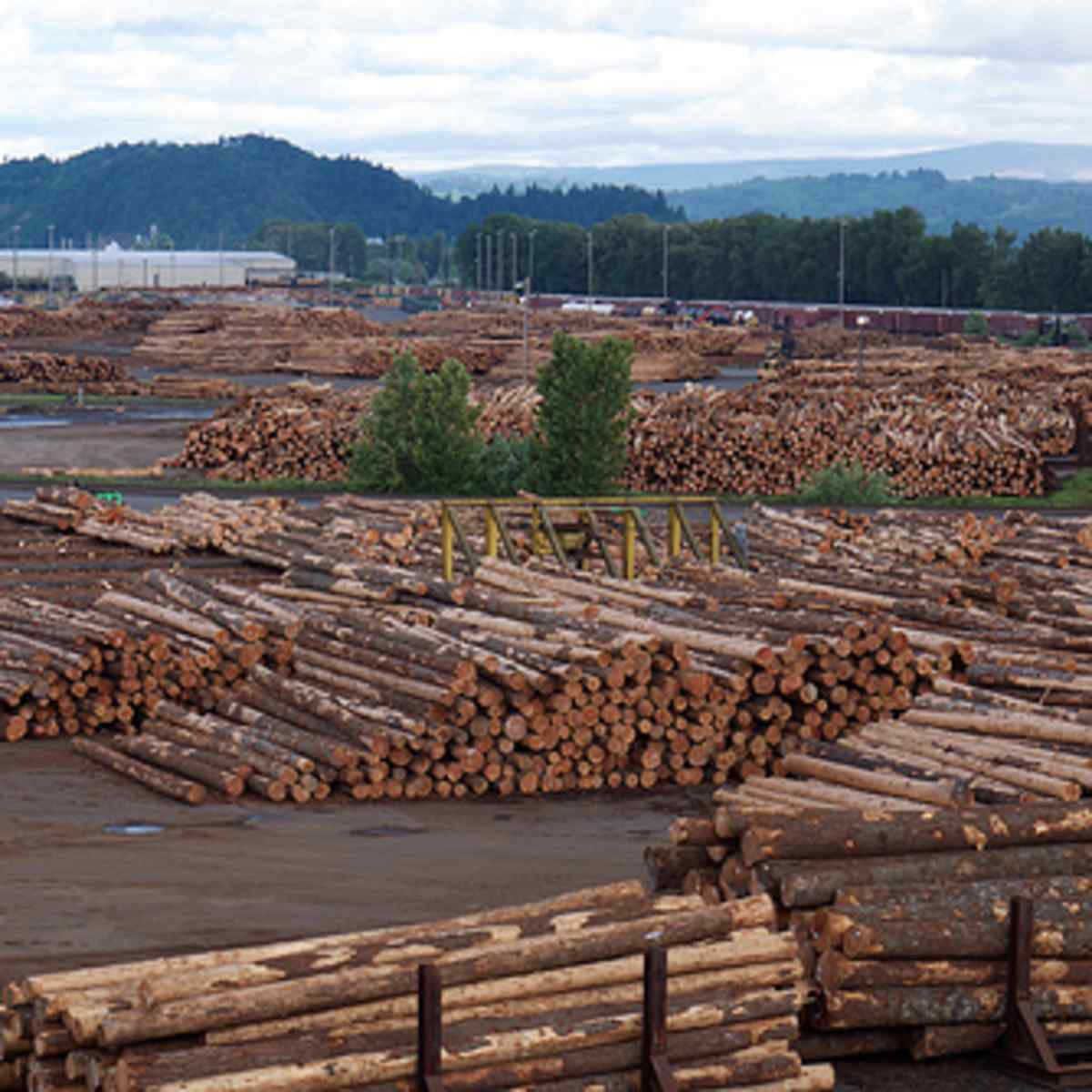 Is Jm Browning Logging Still In Business Flash Sales ...