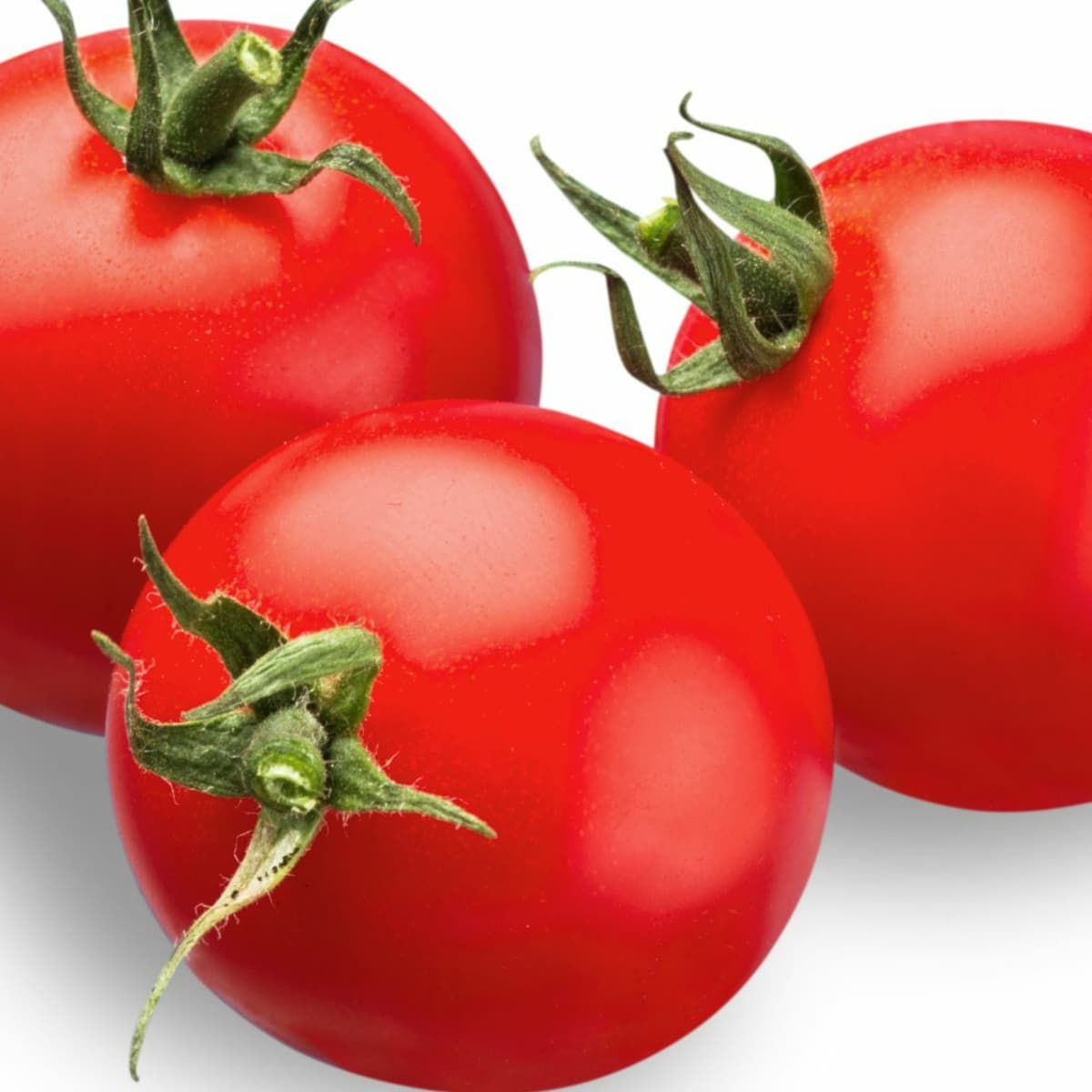 Is a Tomato a Fruit or a Vegetable Views of 6 Industries Owlcation