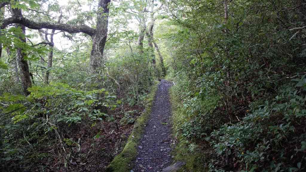 Mount Jefferson State Natural Area: West Jefferson, NC - HubPages