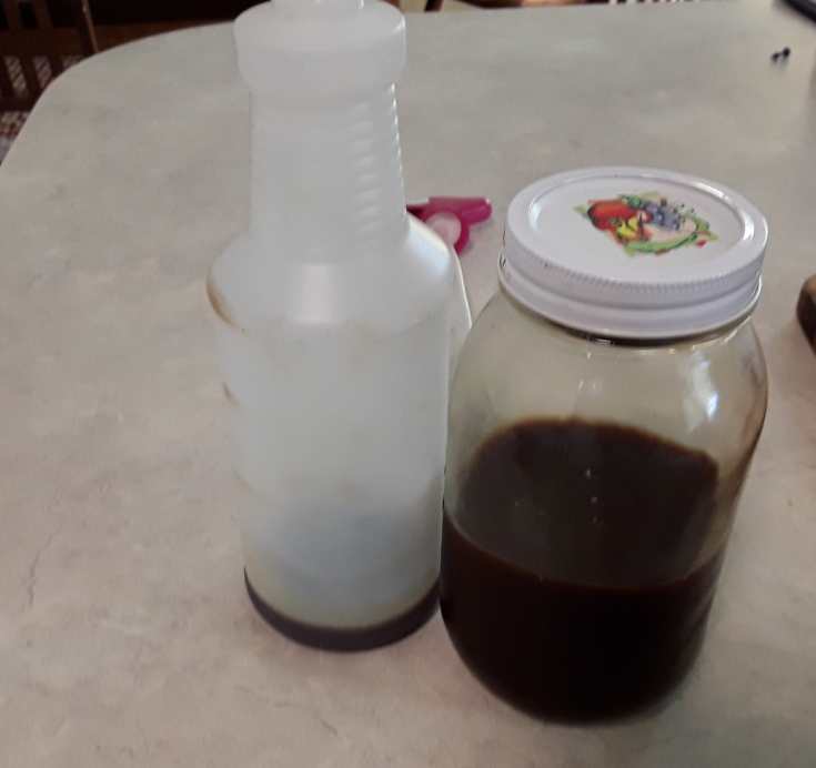 How to Use Probiotics in the Garden to Nourish Plants - Dengarden