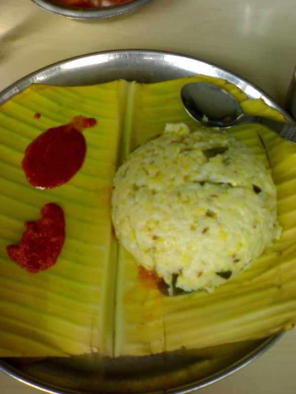 Pongal Festival - the Harvest Festival of Tamil Nadu - Festivals of ...