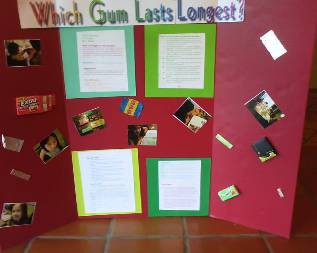 Science Fair Project: Which Chewing Gum Lasts the Longest? - HubPages