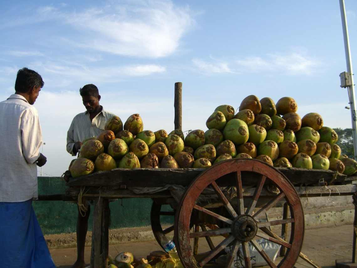 Different Uses for a Coconut: Trees, Leaves, Husks, and More - HubPages