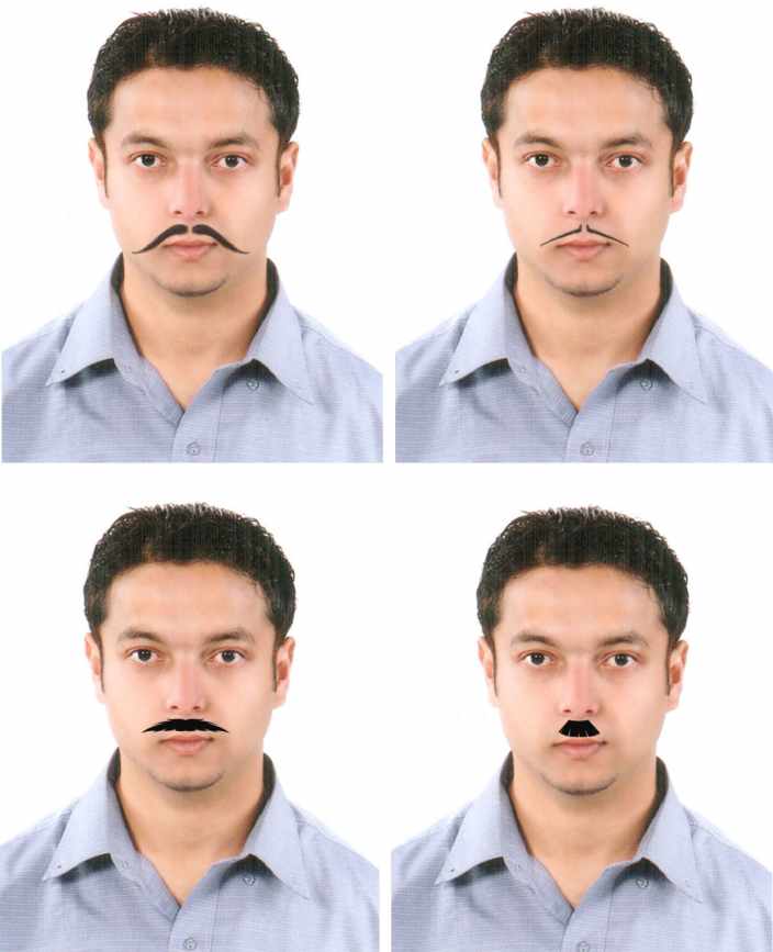 Why Men Have Mustache? - HubPages
