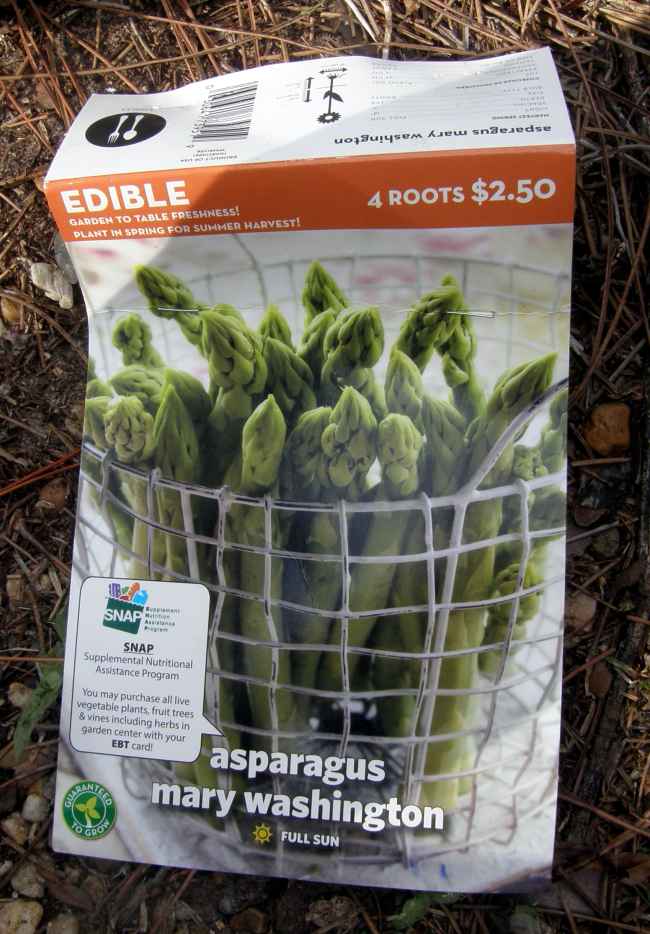 How to Plant Two-Year-Old Asparagus Crowns in Containers - HubPages