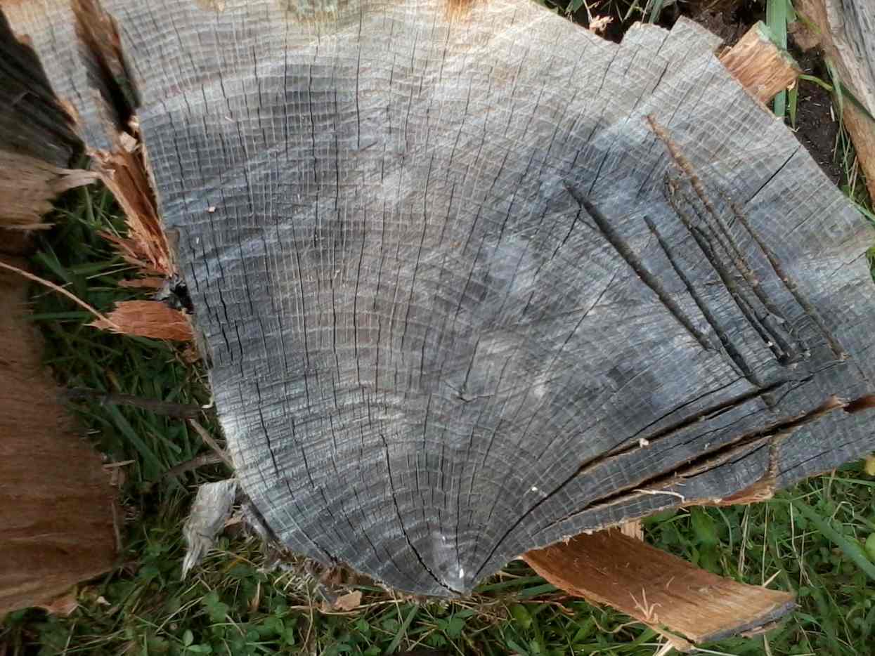 How to Chop Firewood: Tools, Techniques, & Troubleshooting Basics ...