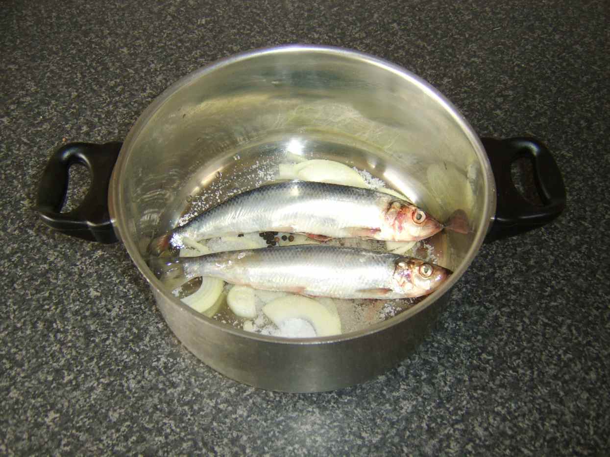 Herring Recipes: How to Cook Herring - HubPages
