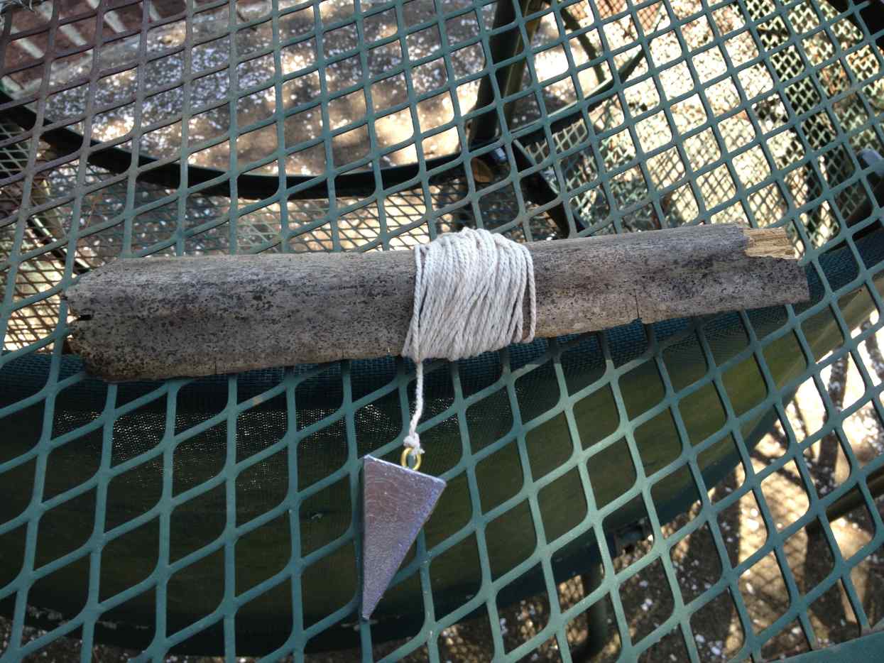 How to Catch, Clean, and Cook Blue Crabs - Delishably