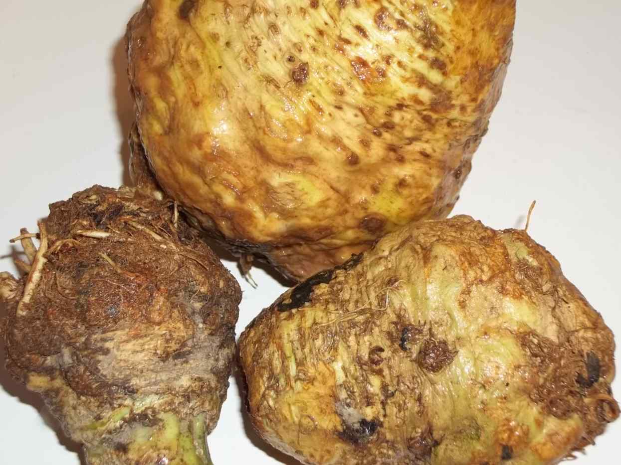 4 German Salad Recipes: Carrots, Beets, Celery, and Cucumber - HubPages