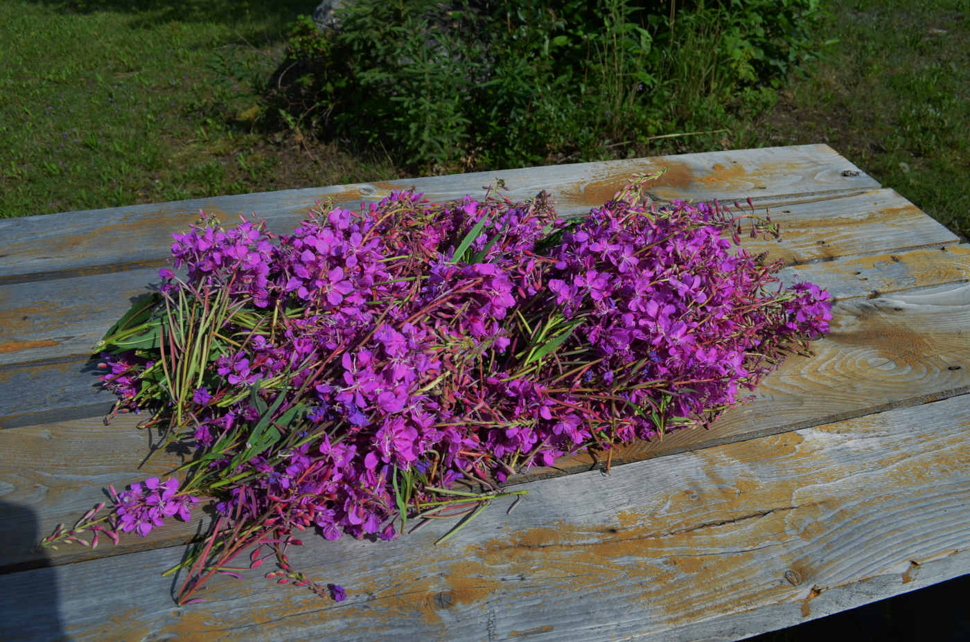 Fireweed Syrup Recipe: How to Make Flower-Infused Syrup - Delishably