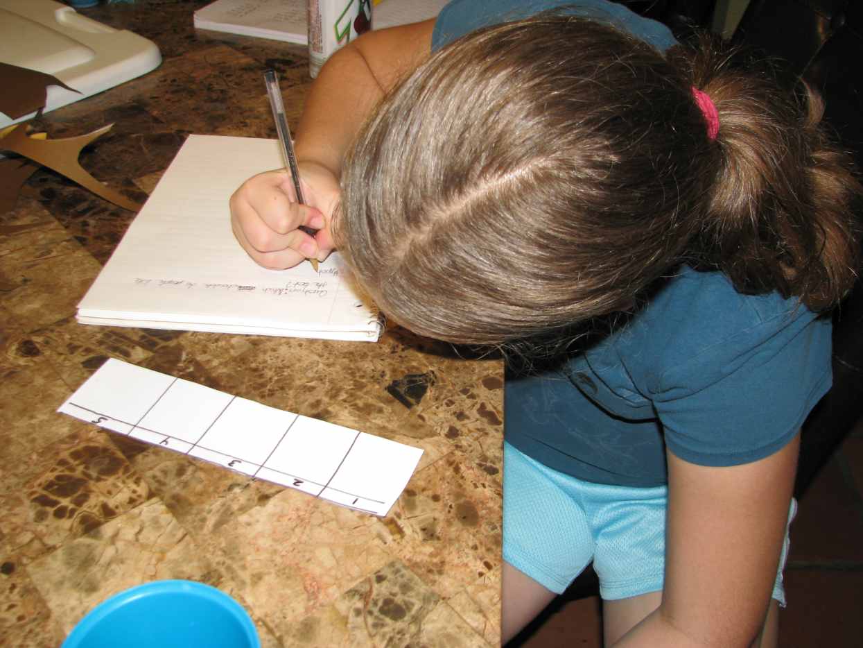 Science Fair Project: Which Chocolate Chip Tastes the Best? - HubPages