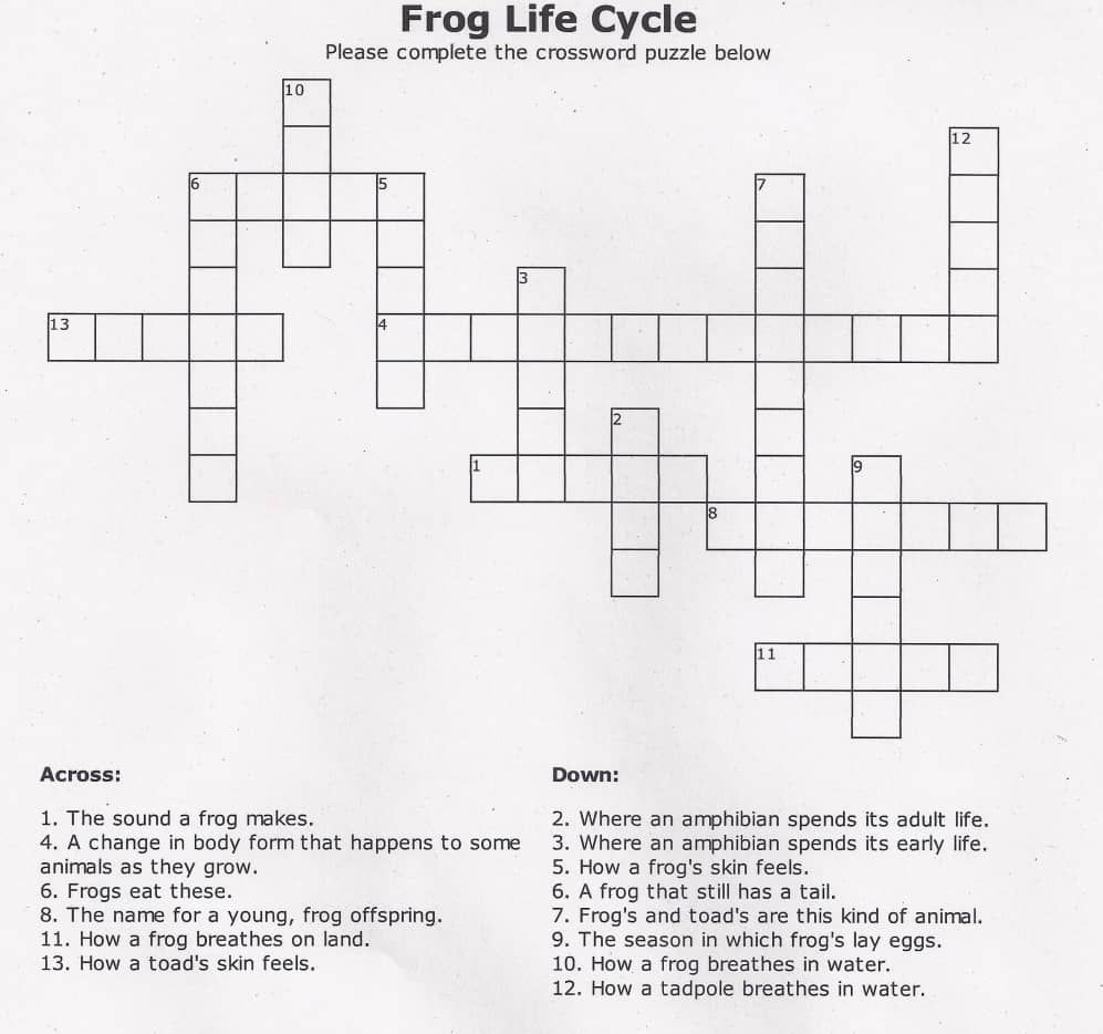 Life Cycle of a Frog: Lesson Plan for Elementary Students - HubPages