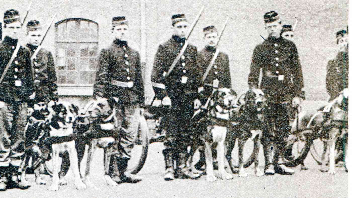 War-Dogs of First World War (WWI, First Great European War) 1914-1918 ...