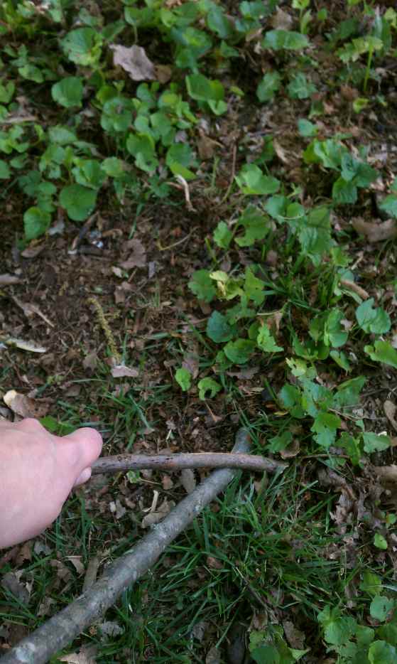 How to Do a Friction Science Experiment - Owlcation