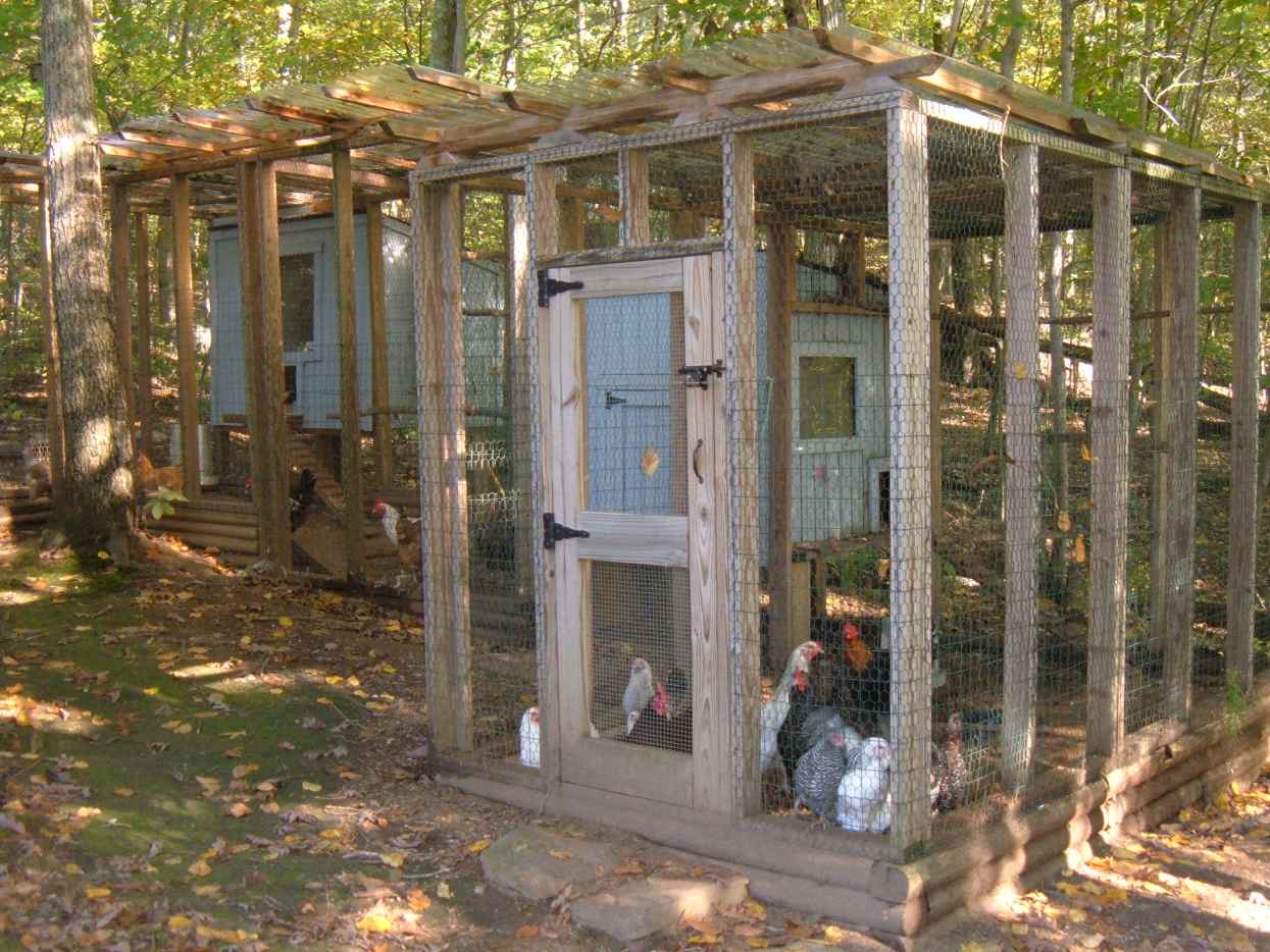 How to Care for Chickens in Cold Weather - HubPages