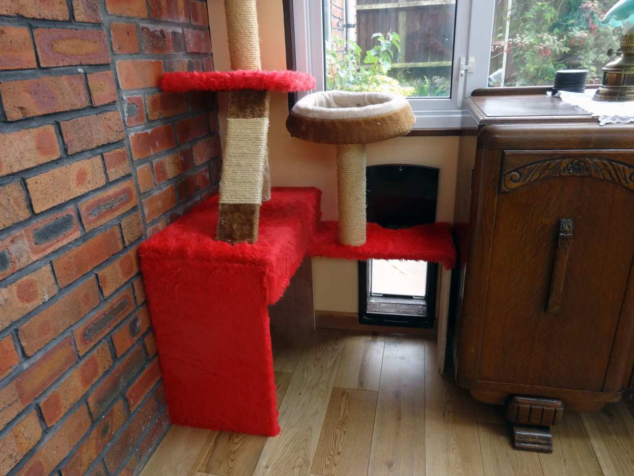 Guide to Making a Cat Highway and Cat Tree Fit for a Maine Coon - HubPages