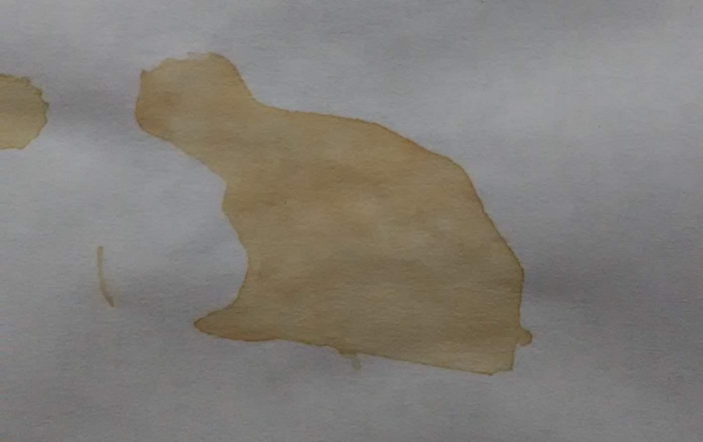 How to Make Tea Stain Art: An Illustrated Guide - HubPages