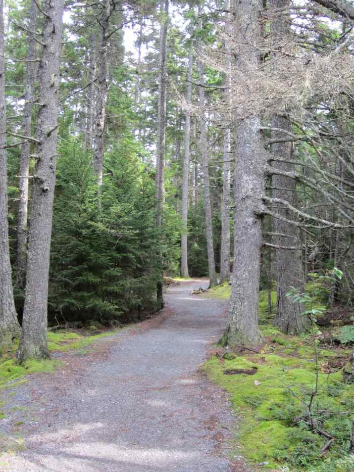 6 Fun and Easy Hikes Around Acadia National Park - HubPages