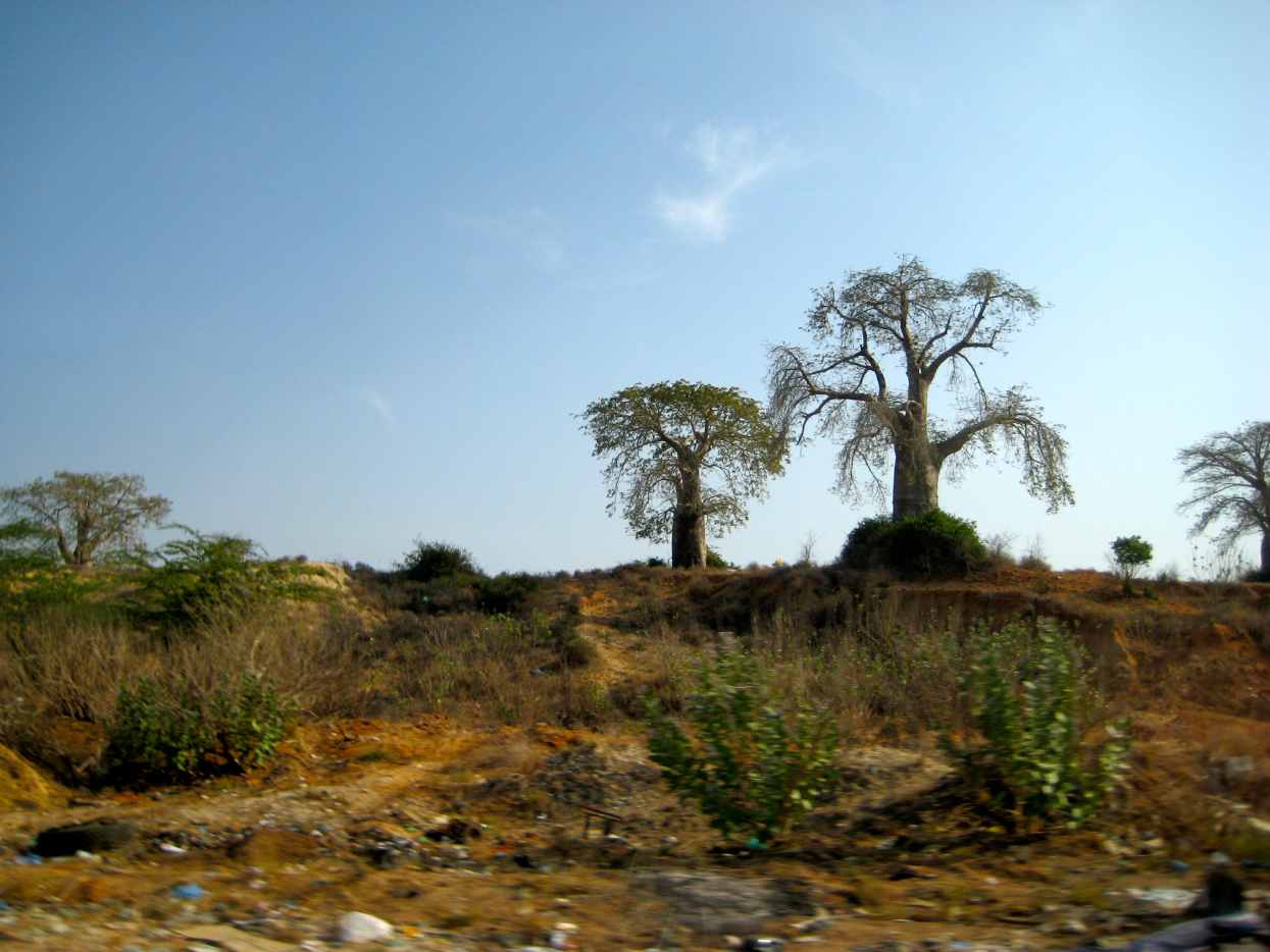15+ Interesting Facts About Angola, Africa - HubPages