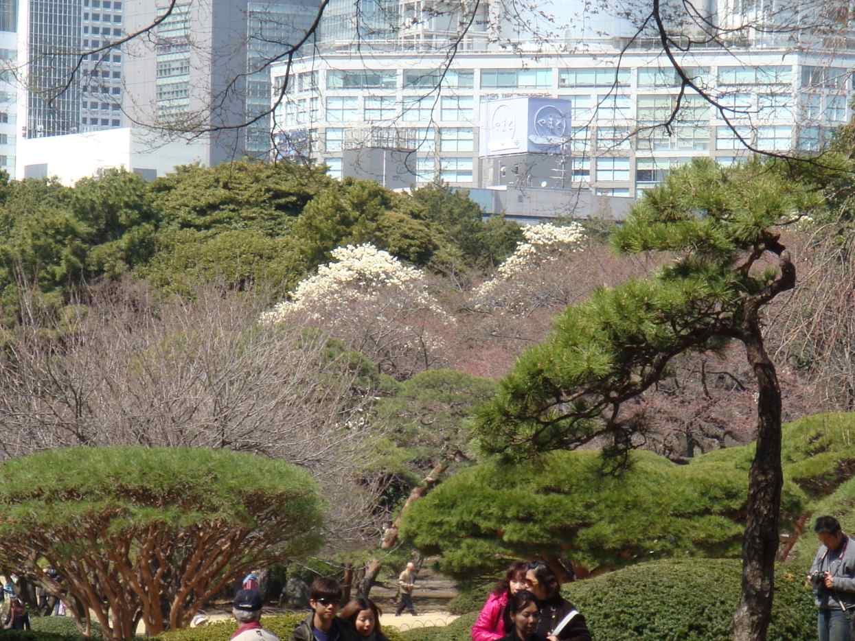 Japan: A Sunday in Tokyo - HubPages