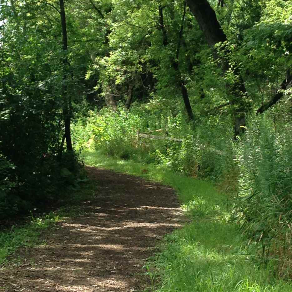 The Famous Quaking Bog You've Never Heard of - HubPages