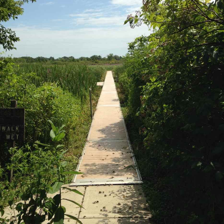 The Famous Quaking Bog You've Never Heard of - HubPages