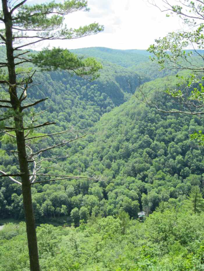 Pine Creek Gorge, the Grand Canyon of Pennsylvania - HubPages